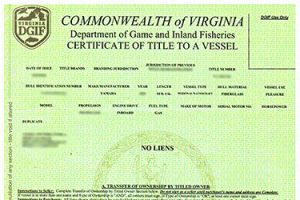 Lost Jet Ski Title Service - Jet Ski For Sale in Virginia